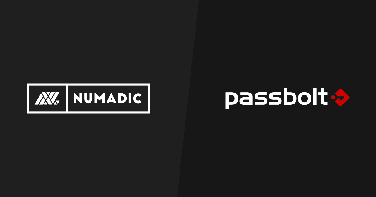 Numadic Case Study: SaaS Security in Automotive Fintech